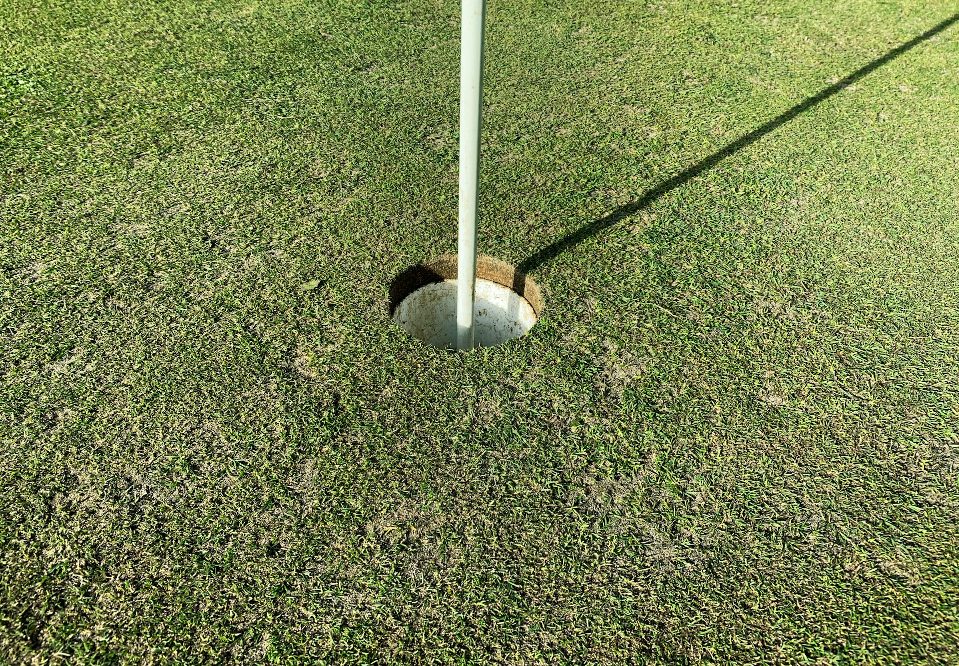 How Big is a Golf Hole? - Golf Verdict